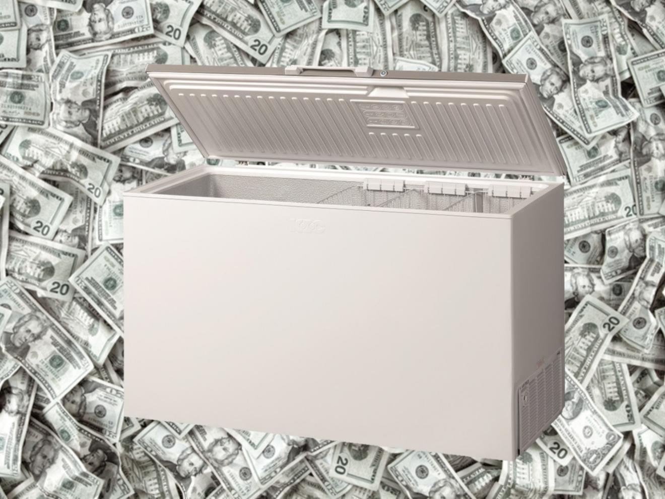 Your Old Freezer May Be Costing You Cold Cash | Beltrami Electric ...